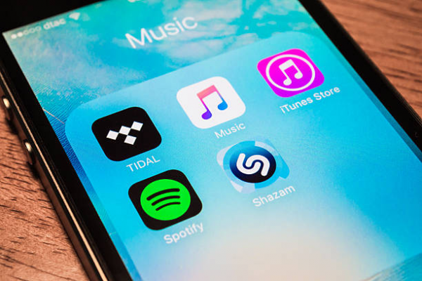 Apple’s Anti-Steering Aches: Key Takeaways from the first DMA Non ...